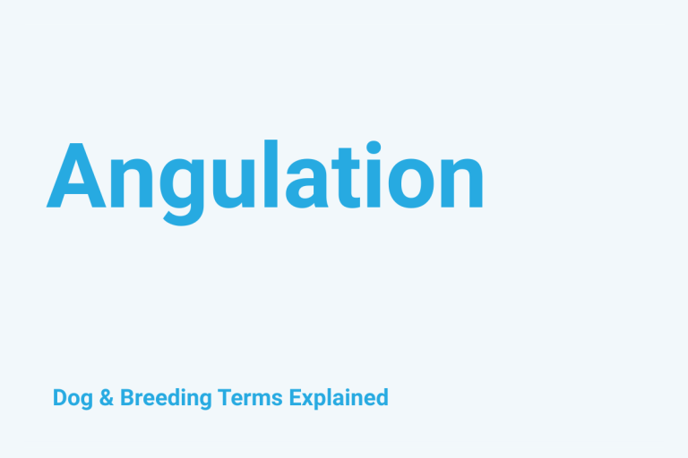United Kennel Club (UKC): Dog & Breeding Term Explained - Dogz Online
