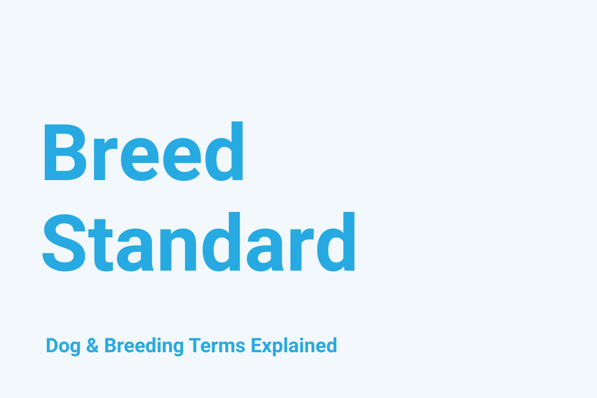 Breed standard: Dog & Breeding Term Explained