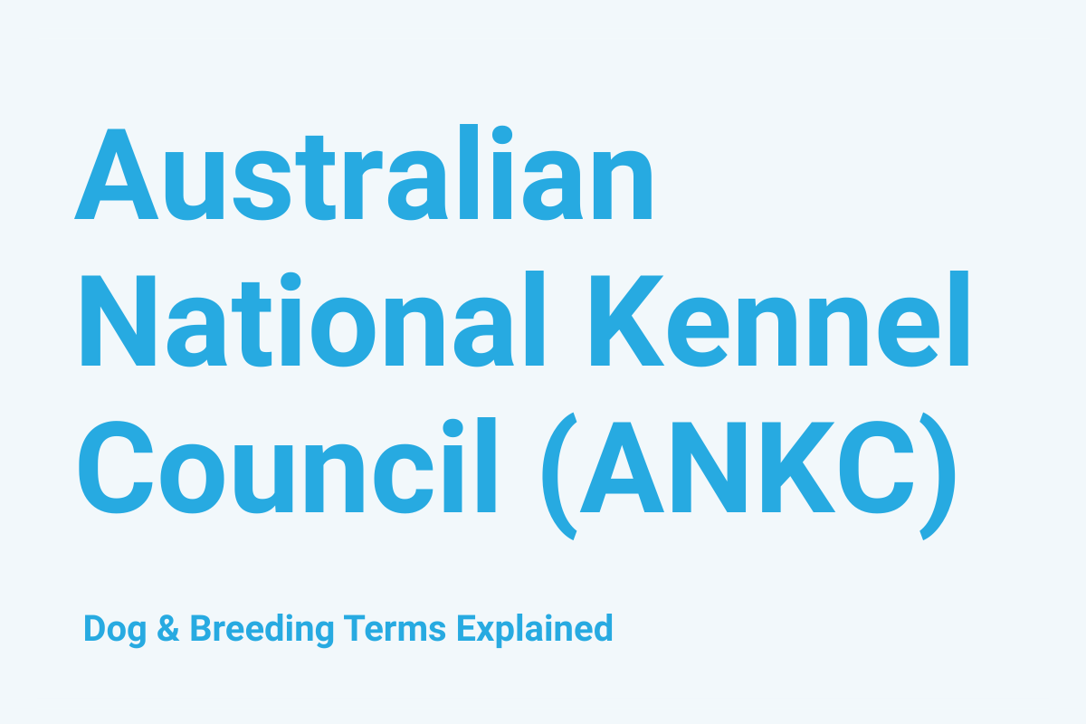 Australian National Kennel Council (ANKC): Dog & Breeding Term Explained