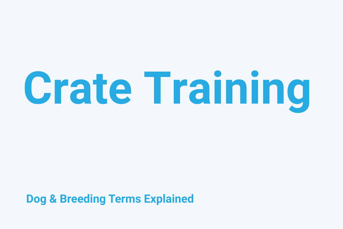 Crate Training: Dog & Breeding Term Explained - Dogz Online