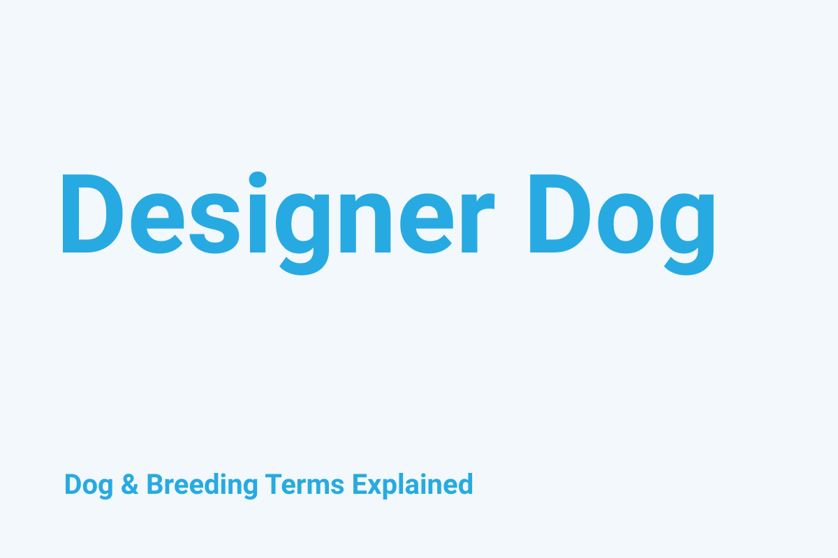Designer Dog: Dog & Breeding Term Explained - Dogz Online