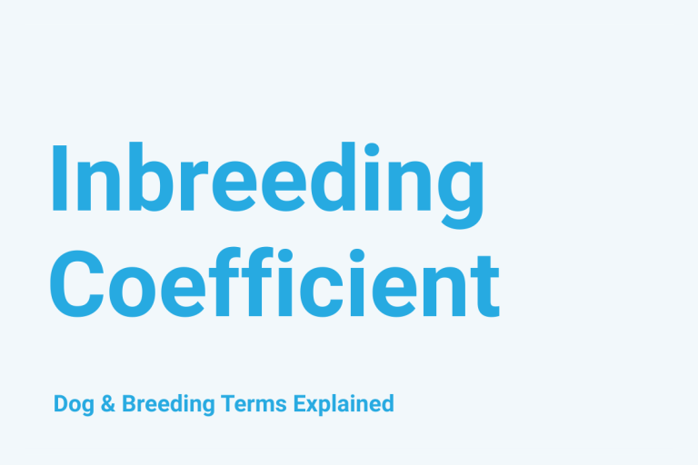 United Kennel Club (UKC): Dog & Breeding Term Explained - Dogz Online