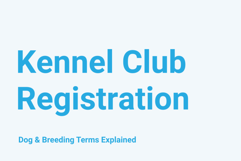 Australian National Kennel Council (ANKC): Dog & Breeding Term Explained