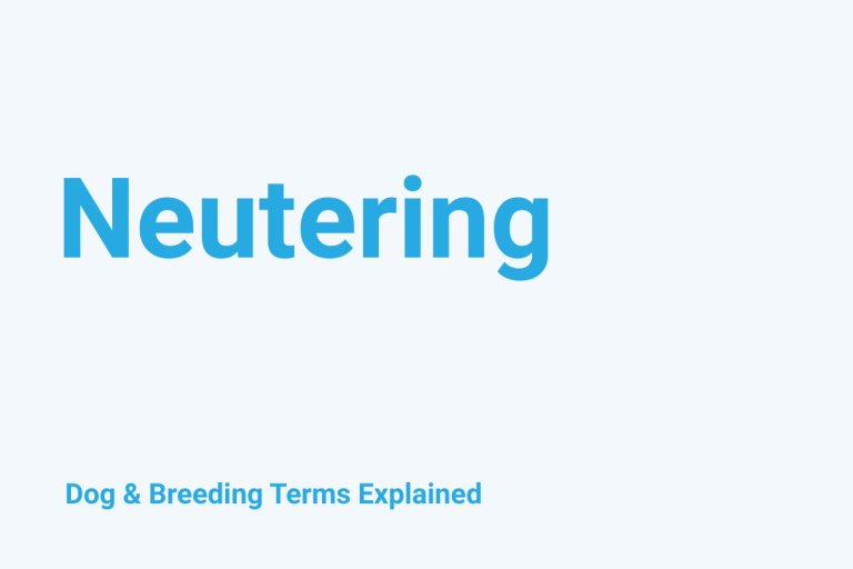 The Kennel Club (KC - UK): Definition and Further Information - Dogz Online