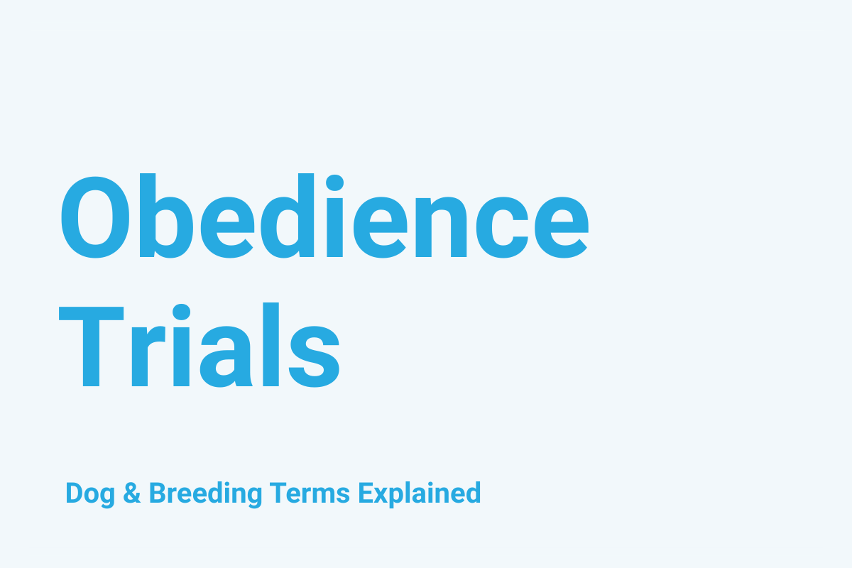 Obedience Trials: Dog & Breeding Term Explained - Dogz Online