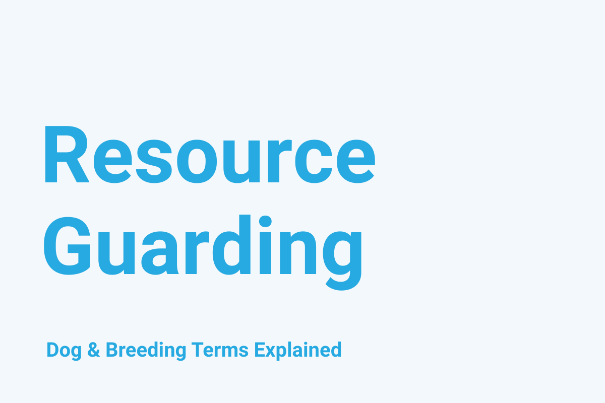 Resource Guarding: Dog & Breeding Term Explained