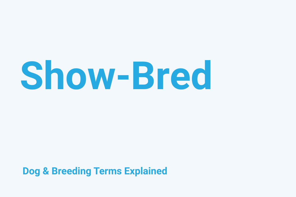 Show-Bred: Dog & Breeding Term Explained - Dogz Online