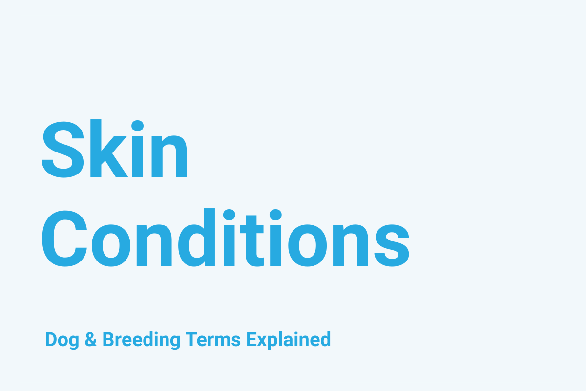 Skin Conditions In Dogs: Dog & Breeding Term Explained - Dogz Online