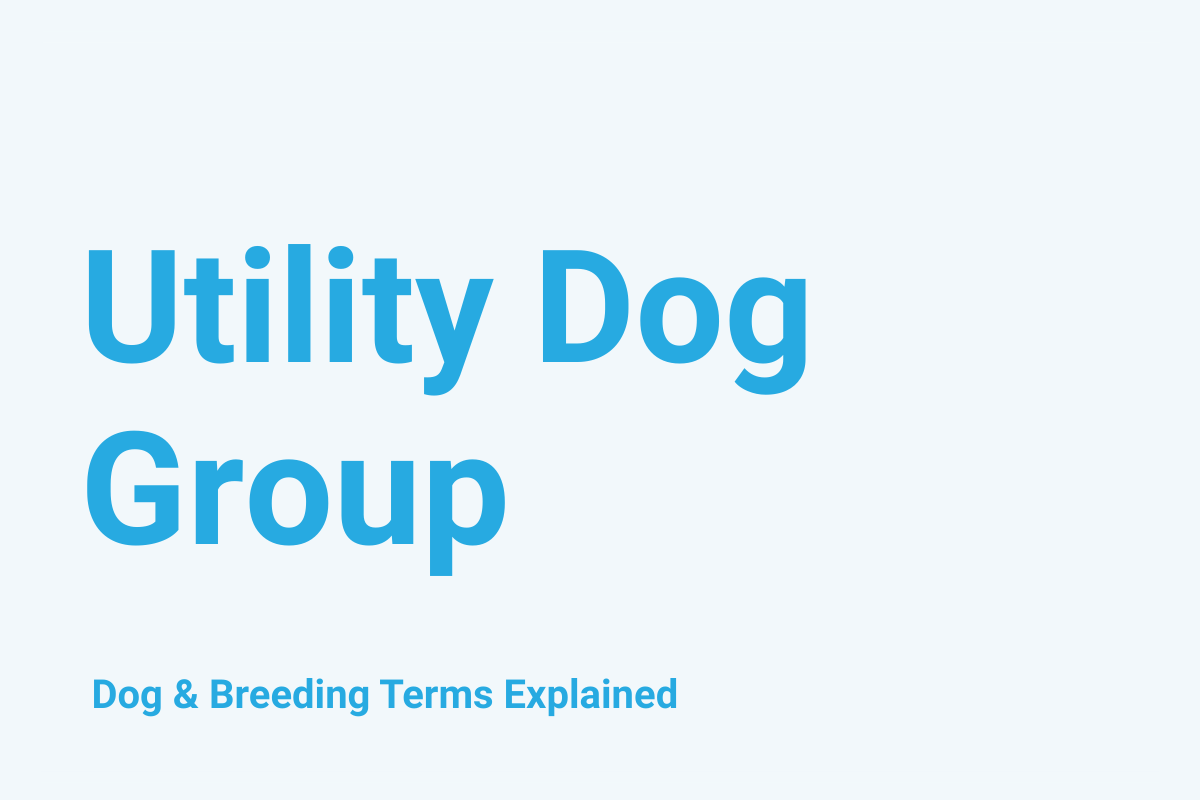 Utility Dog Group: Dog & Breeding Term Explained
