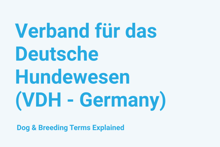 Whelping: Dog & Breeding Term Explained - Dogz Online