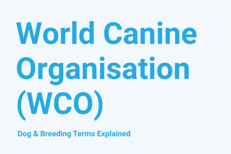 Australian National Kennel Council (ANKC): Dog & Breeding Term ...