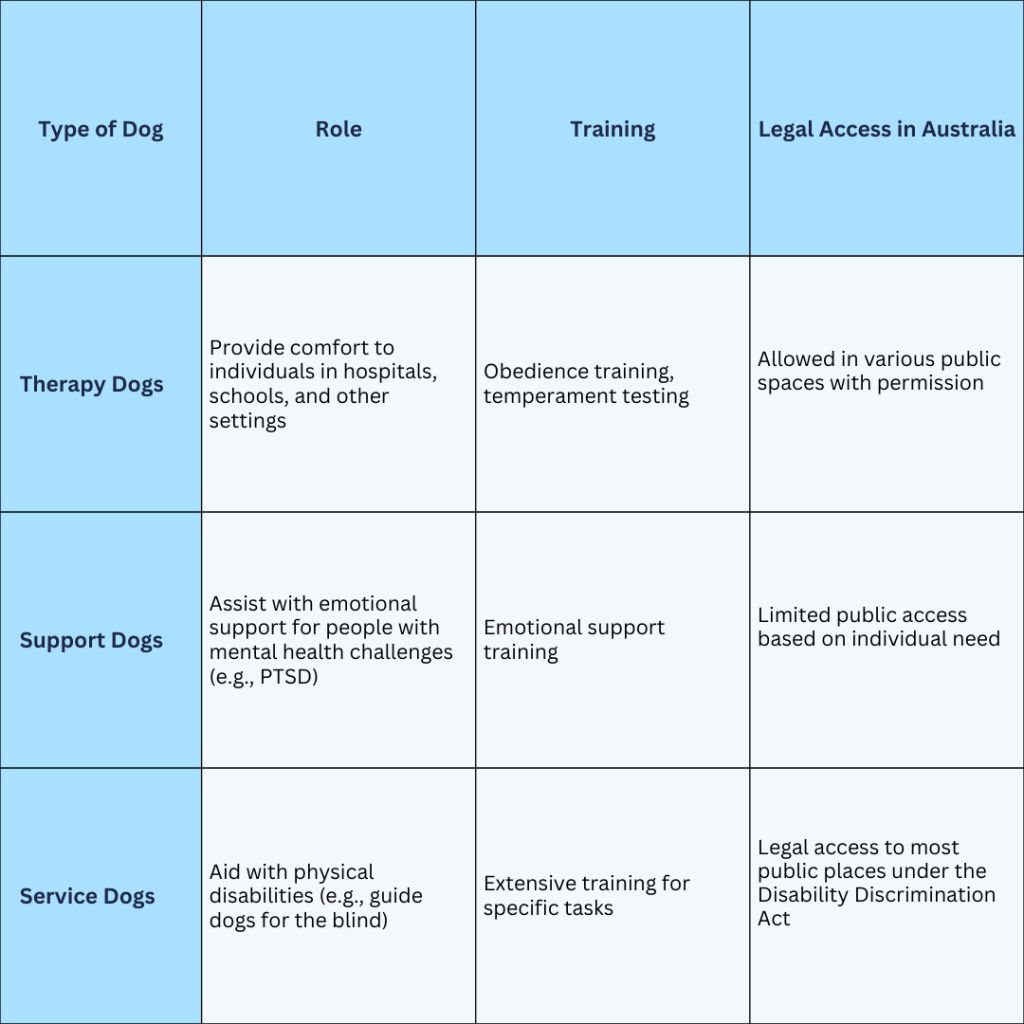 10 Best Therapy Dog Breeds in Australia - Dogz Online